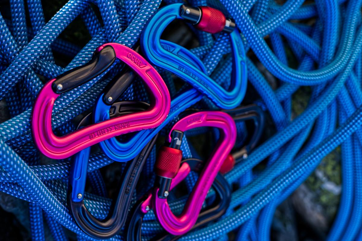 Raven Family | OCÚN